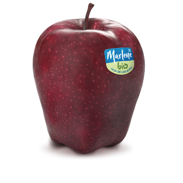 Variedad de manzana orgánica Red Delicious | Marlene®