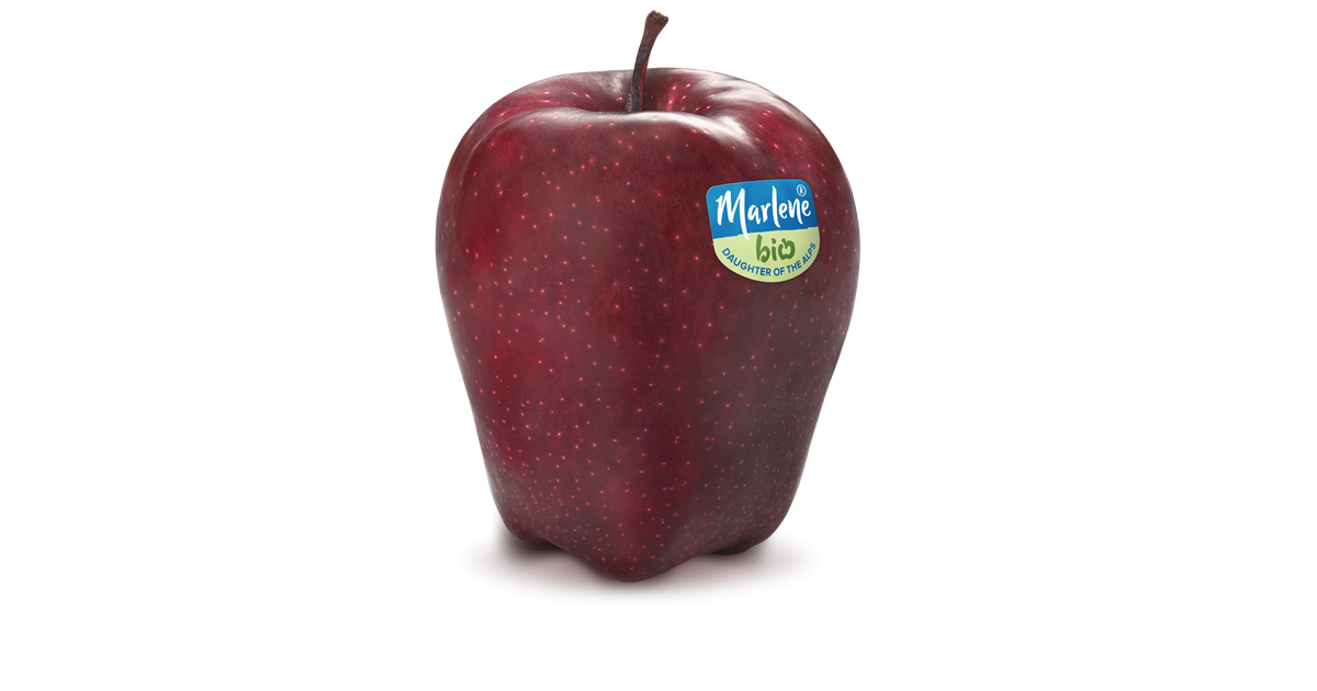 Apple variety Red Delicious | Marlene®